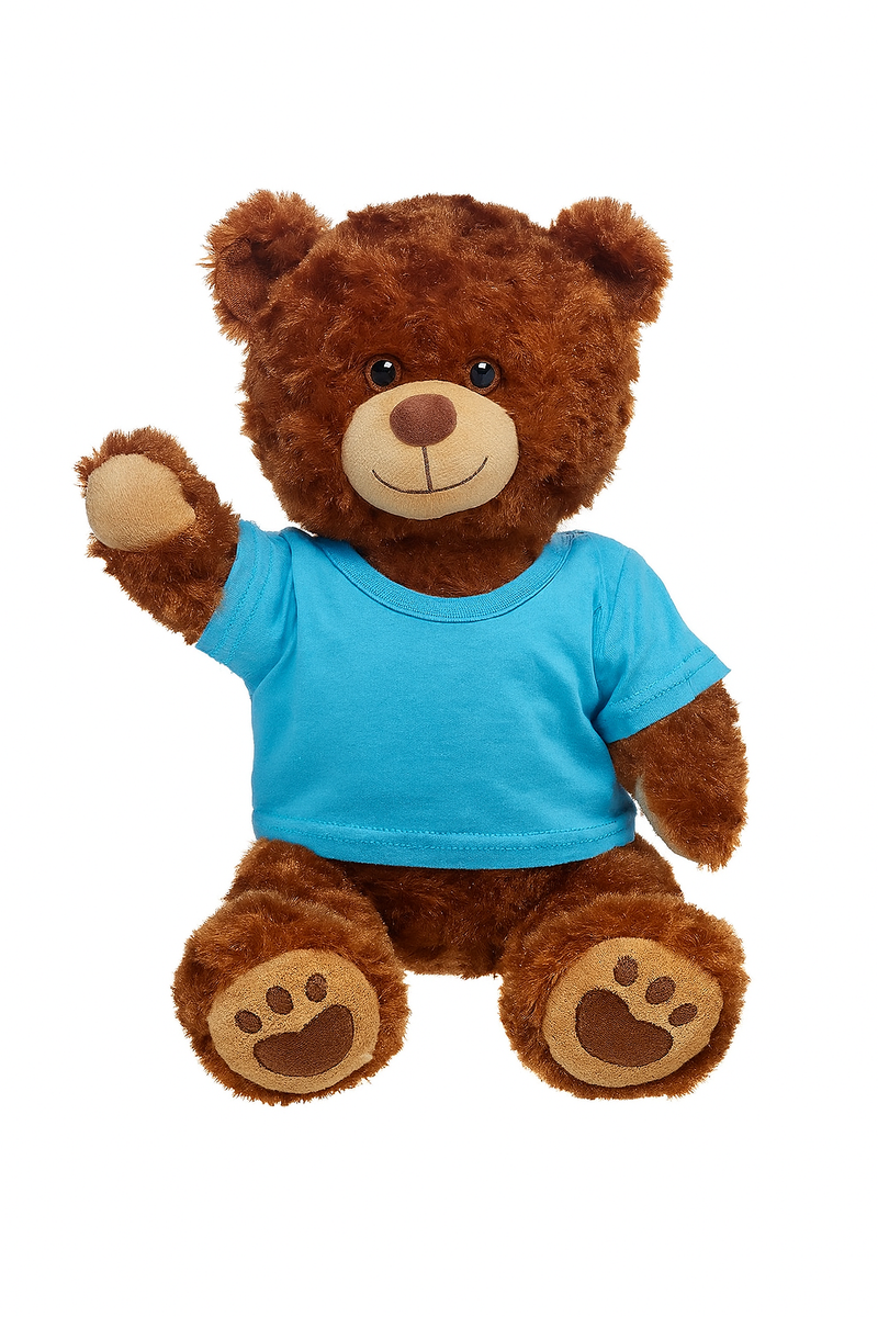 Blue Teddy Bear T-Shirt – Teddy Tastic