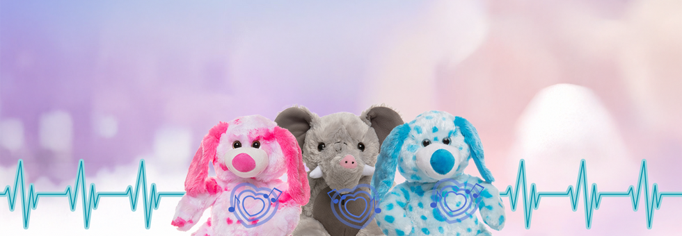 Scan Clinics – Teddy Tastic
